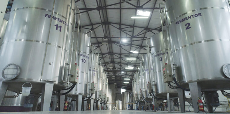 Ecovinal International- About Us